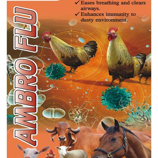 China AMBRO FLU factory and suppliers | Depond