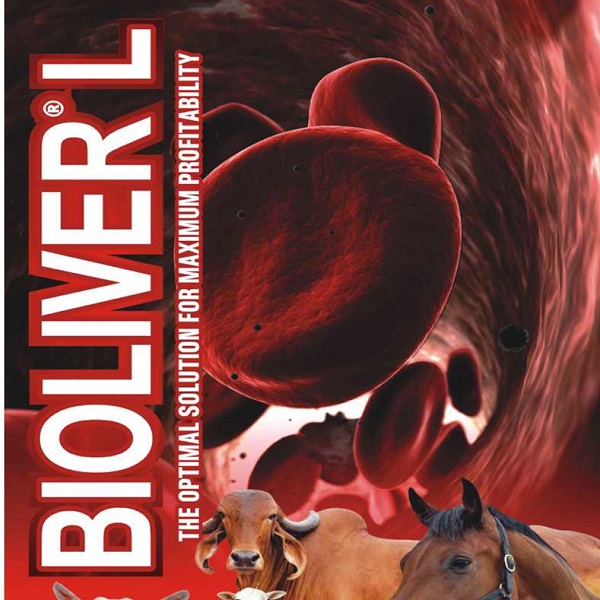 China BIO LIVER L factory and suppliers | Depond